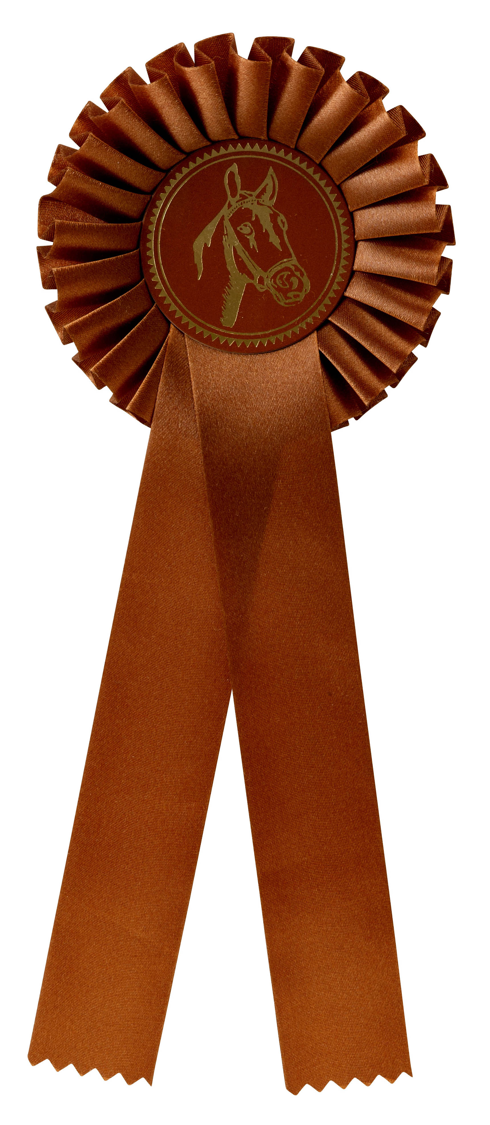 G 100 Rozet Bruin met kartonnen PH in kleur rozet OP=OP!! | Big Score ...